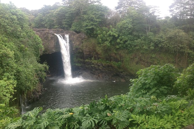 Heavenly Hamakua: From Kona - Who Will Love This Experience?