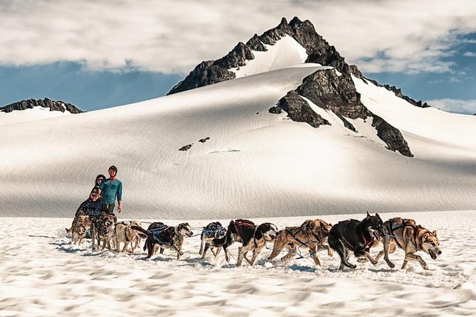 Helicopter Glacier & Dog Sledding Adventure Tour - The Helicopter Flight: A Bird’s-Eye View of Alaska