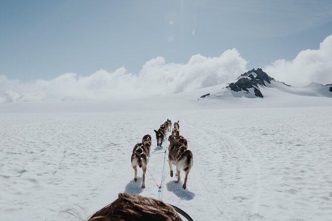 Helicopter Glacier & Dog Sledding Adventure Tour - Meeting the Huskies and Learning About Sledding