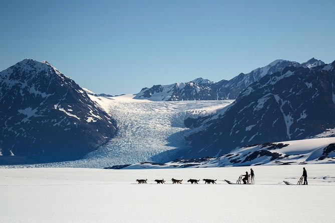 Helicopter Glacier Dogsled Tour + Lower Glacier Landing - ANCHORAGE AREA - A Detailed Look at the Tour Experience