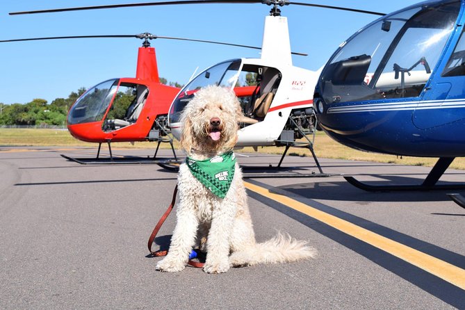 Helicopter Tour of Clearwater Beach and Belleair Country Club - Introduction to the Experience