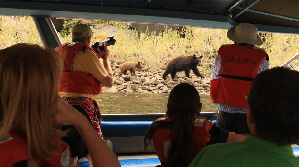 Hells Canyon: Yellow Jet Boat Tour to Kirkwood, Snake River - The Experience: A Detailed Look at the Hells Canyon Jet Boat Tour