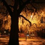 Hemingway Tour - Final Thoughts: Who Should Take This Tour?