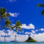 Hidden Gems of Oahu Circle Island Tour with Byodo-In Temple - A Closer Look at the Itinerary