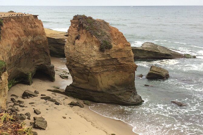 Hidden Nature Walks in the City Private Tour - Authentic Experiences and Genuine Insights