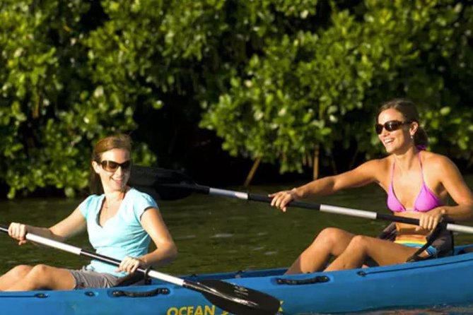 Hidden Valley Falls Kayak and Kauai Hike Adventure - The Experience: What You Can Expect from This Kauai Adventure