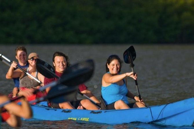 Hidden Valley Falls Kayak and Kauai Hike Adventure - Who This Tour Is Best For