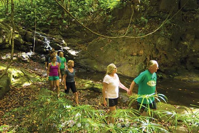 Hidden Valley Falls Kayak and Kauai Hike Adventure - Final Thoughts