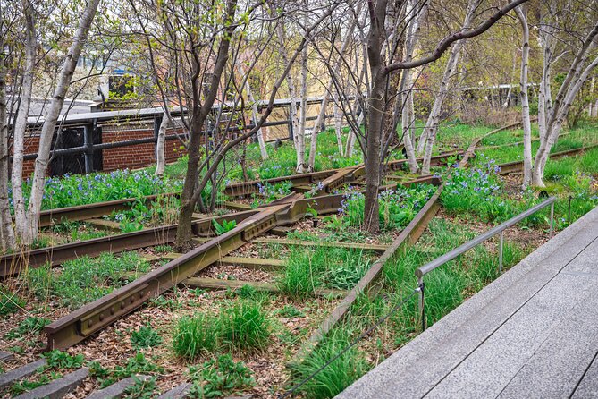 High Line and Chelsea Market 3 Hour Private Tour - Additional Highlights and Unique Sights