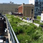 High Line and Hudson Yards Private Walking Tour - What Makes This Tour Special?