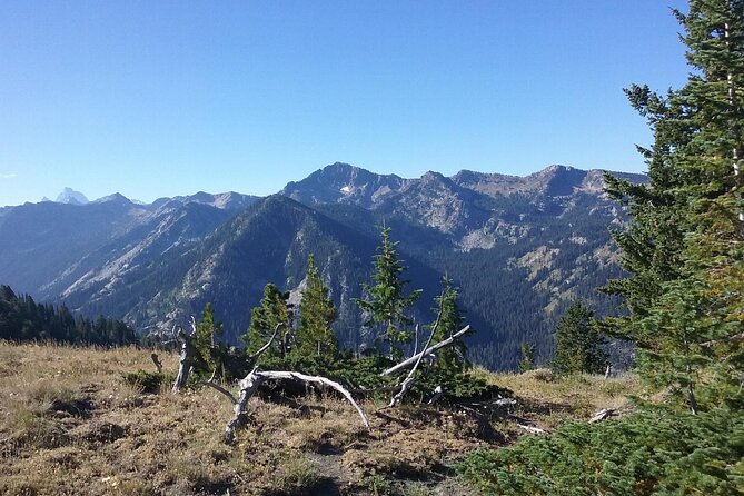 High Mountain scenic trail rides in the Teton Range - Exploring the Teton Wilderness on Horseback or Foot  
