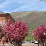 Highlights of Aspen Tour - Practical Details and What to Expect