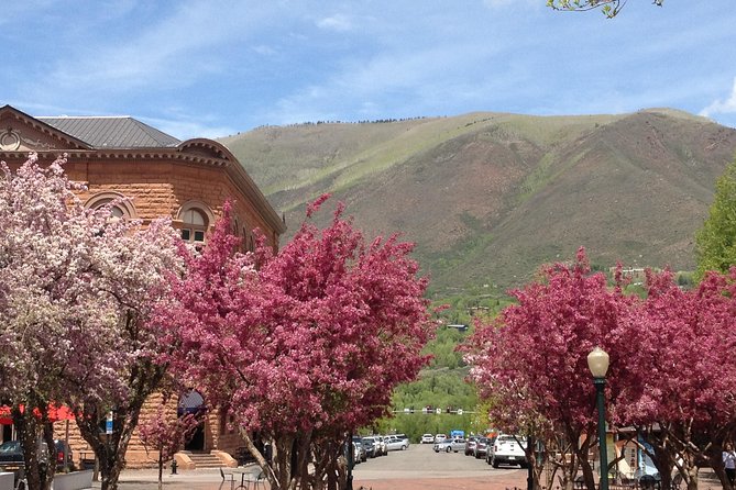 Highlights of Aspen Tour - Practical Details and What to Expect