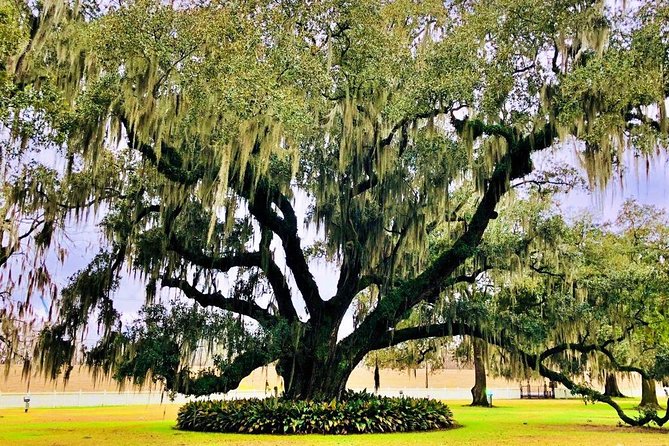 Highlights of New Orleans City and Destrahan Plantation Tour - What to Expect from the Tour Experience
