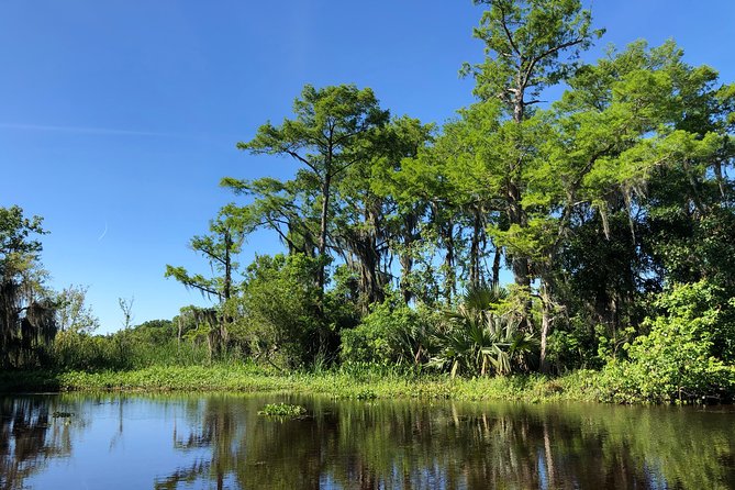 Highlights of New Orleans City and Swamp Tour Combination - Bayou Segnette State Park and the Airboat Swamp Adventure