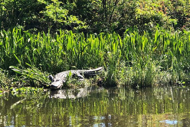 Highlights of New Orleans City and Swamp Tour Combination - The Historic Charm of the Garden District