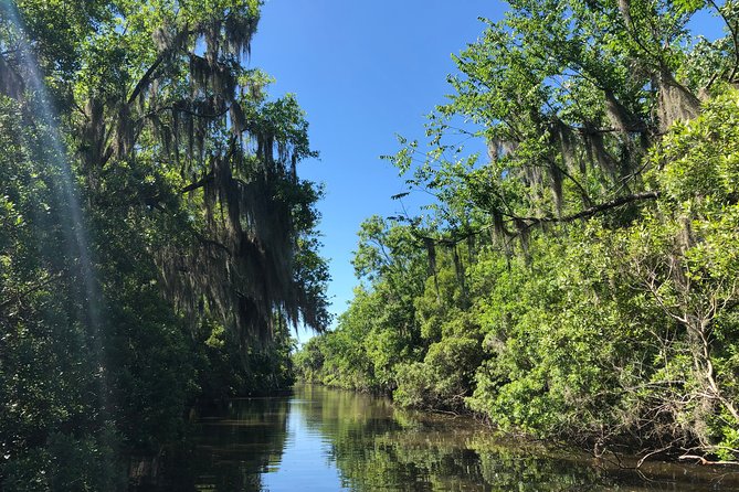 Highlights of New Orleans City and Swamp Tour Combination - Authentic Experiences and Practical Details