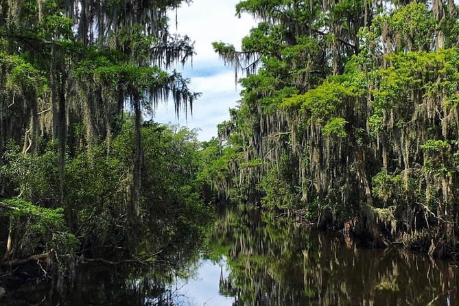 Highlights of New Orleans City and Swamp Tour Combination - Who Will Get the Most Out of This Tour?