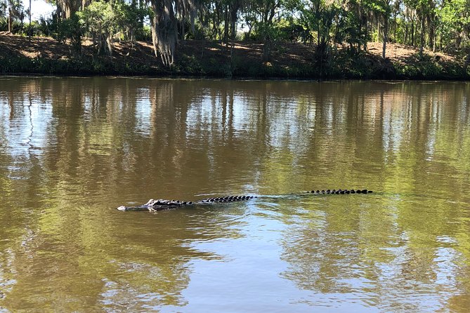 Highlights of New Orleans City and Swamp Tour Combination - FAQ