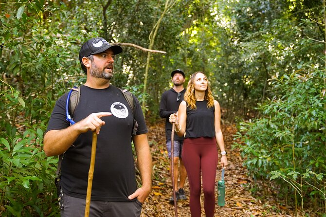 Hike Honolua Ridgeline - Exploring the Honolua Ridgeline: A Genuine Maui Eco-Adventure