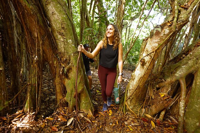 Hike Honolua Ridgeline - Why You’ll Love This Experience