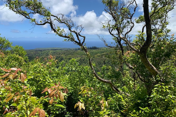 Hike Honolua Ridgeline - The Itinerary and What to Expect