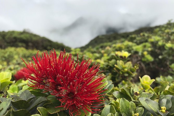 Hike Honolua Ridgeline - Who Should Book This Tour?