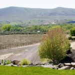 Hike Mt. Rainier & Taste Yakima Valley Wine: All-Inclusive Day Tour from Seattle - A Deep Dive into the Experience