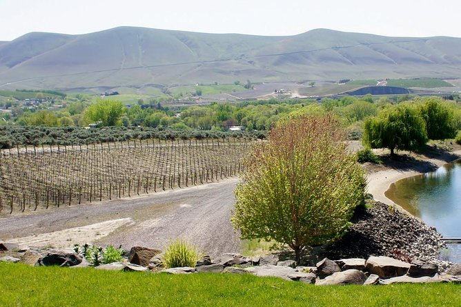 Hike Mt. Rainier & Taste Yakima Valley Wine: All-Inclusive Day Tour from Seattle - A Deep Dive into the Experience