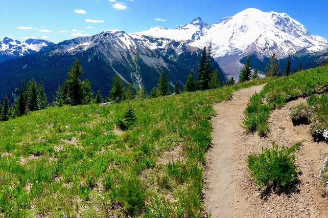 Hike Mt. Rainier & Taste Yakima Valley Wine: All-Inclusive Day Tour from Seattle - Practical Details: What You Need to Know