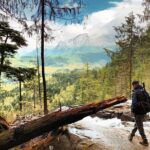 Hike the Gorgeous Trails in Washington - Who Will Love This Tour?