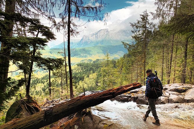Hike the Gorgeous Trails in Washington - Who Will Love This Tour?