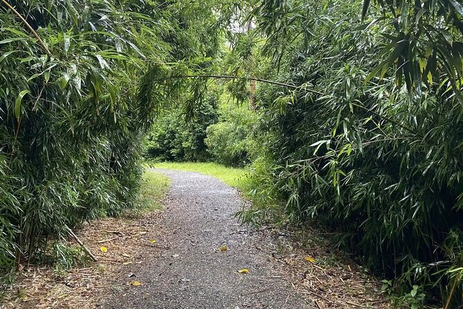 Hike to Connect with Nature and a Power of a Huge Waterfall - An In-Depth Look at This Oahu Waterfall Hike