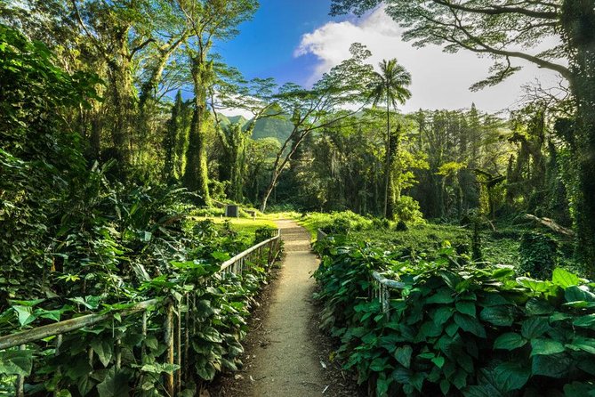 Hike Trail to Waterfall & Nature Walk - Exploring Oahu’s Natural Trails with Care and Comfort