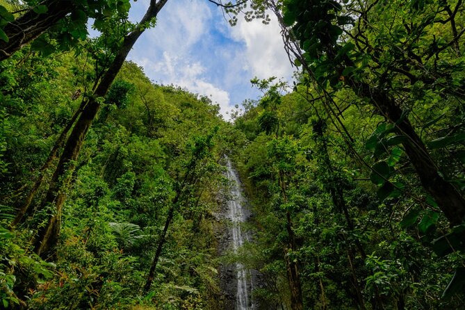 Hike Trail to Waterfall & Nature Walk - The Value Proposition
