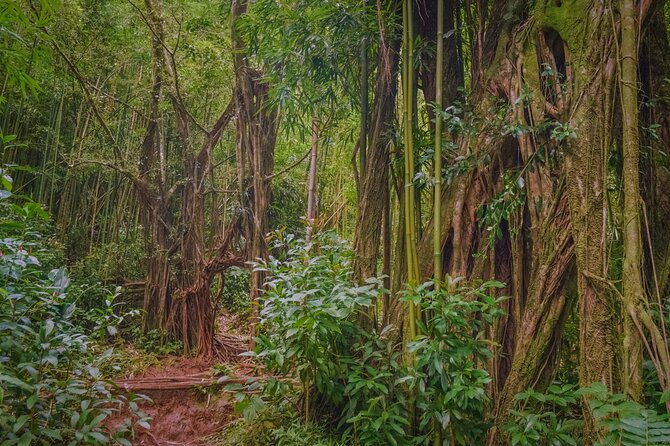 Hike Trail to Waterfall & Nature Walk - The Sum Up