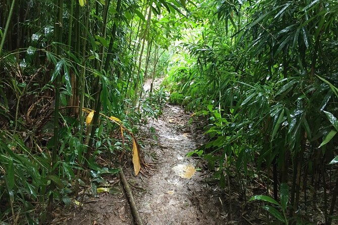 Hike Trail to Waterfall & Nature Walk - FAQ