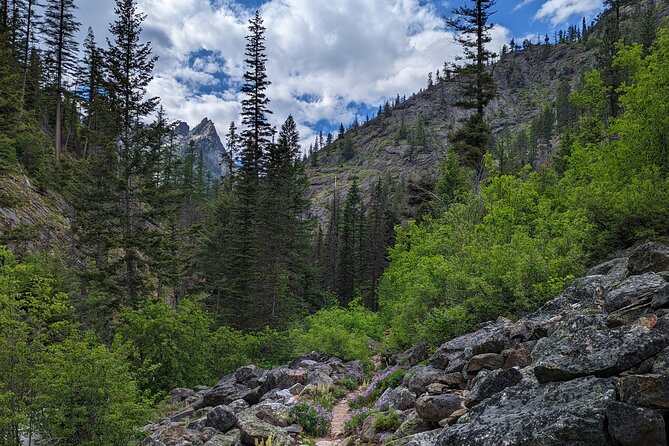 Hiking Gear Rental + Trail Planning - Western Montana - Why the Gear Matters: Comfort and Safety on Montana Trails