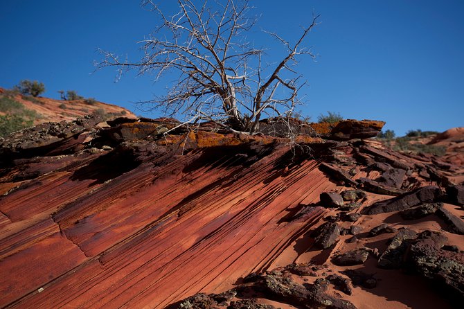 Hiking in Kanab: Walk and Photograph the incredible Wire Pass Slot Canyon! - The Sum Up