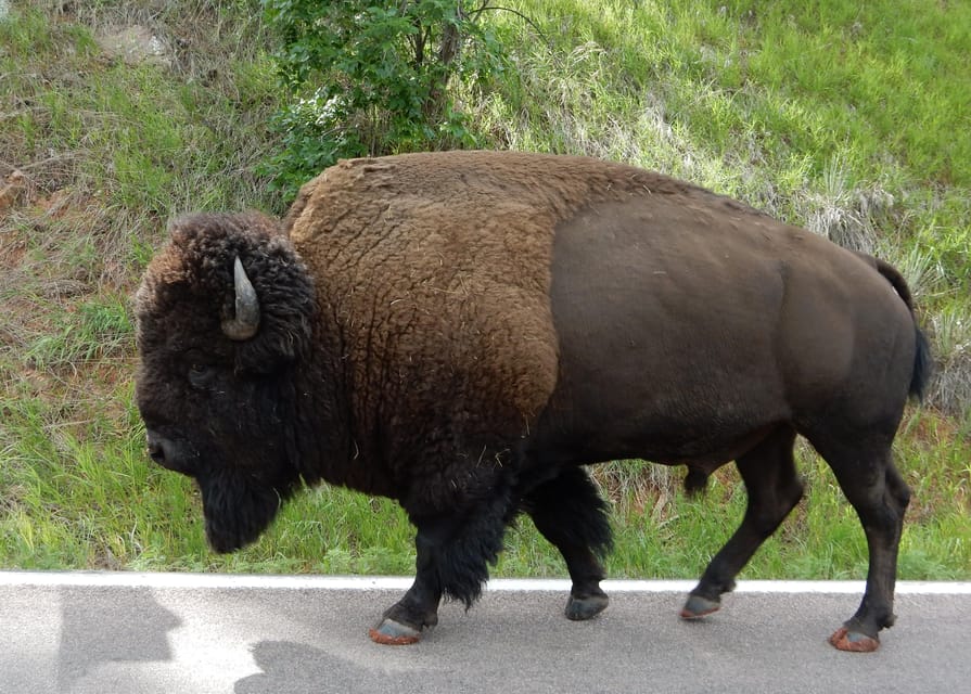 Hill City: Private Mount Rushmore, Crazy Horse & More Tour - FAQ