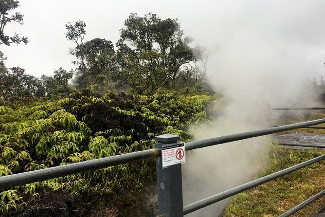 Hilo and Volcano National Park Tour a Cruise Ship Excursion w/PU - Final Words
