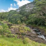 Hilo: Gardens, Waterfalls & Farmers Market Shore Excursion - What’s Included and Why It Matters