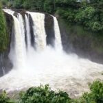 Hilo Highlights: Waterfall & Local Secrets on a Short Excursion - Introduction: What to Expect from the Hilo Highlights Tour