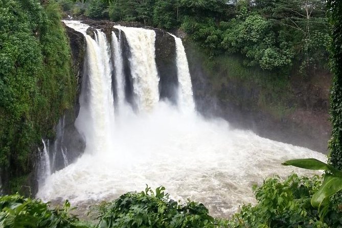 Hilo Highlights: Waterfall & Local Secrets on a Short Excursion - Introduction: What to Expect from the Hilo Highlights Tour