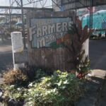 Hilo History and Legends (APP) Audio Self Guided Walking Tour - Who Will Love This Tour?