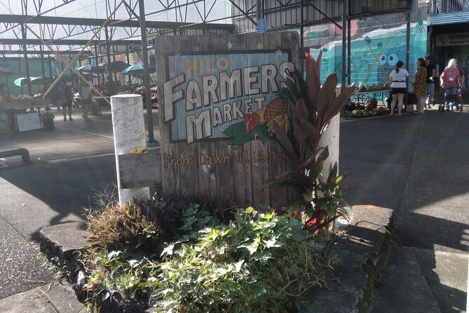 Hilo History and Legends (APP) Audio Self Guided Walking Tour - Who Will Love This Tour?