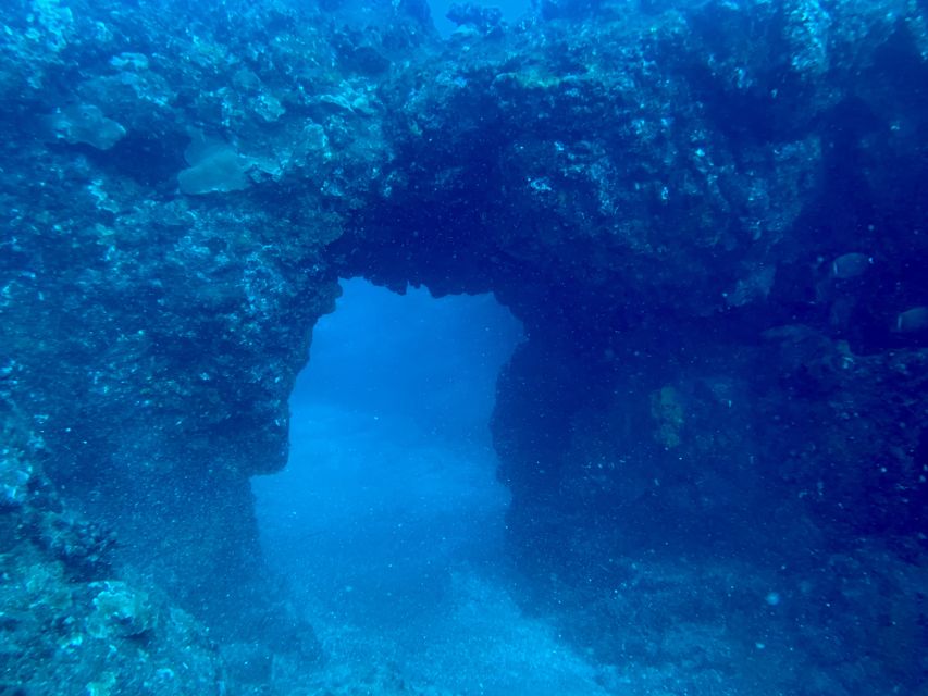 Hilo: Night Dive for Certified Divers - Key Points