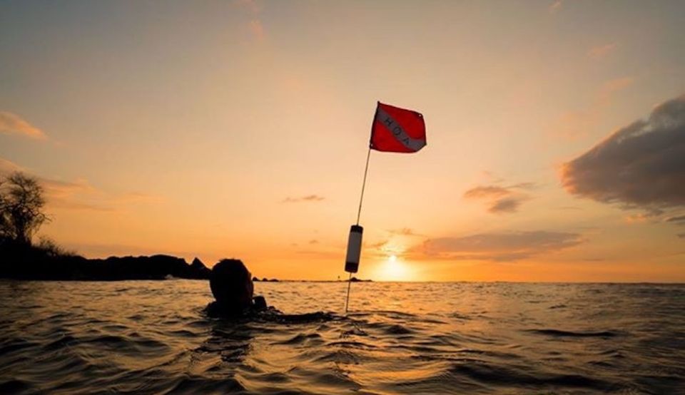 Hilo: Night Dive for Certified Divers - Who Should Consider This Tour?