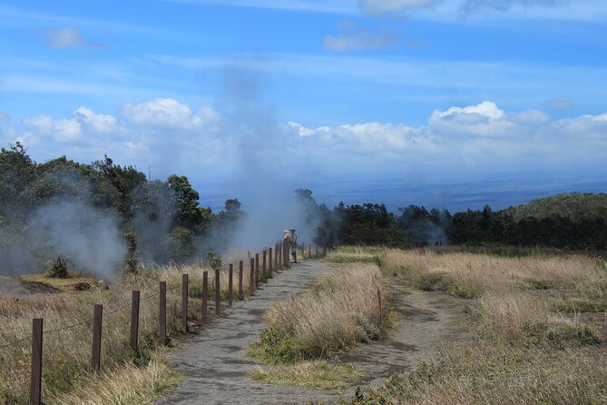 Hilo Shore Excursion: Active Volcano, Lava Tube, Waterfall and Gardens - Value and Overall Impression