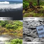 Hilo Shore Excursion: Safari Lava Caves, Falls and Highlights - Who Should Book This Tour?